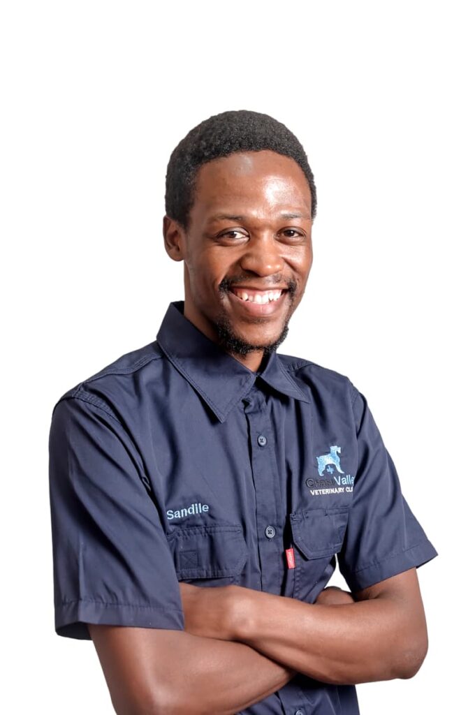 Our Team – Chase Valley Veterinary Clinic