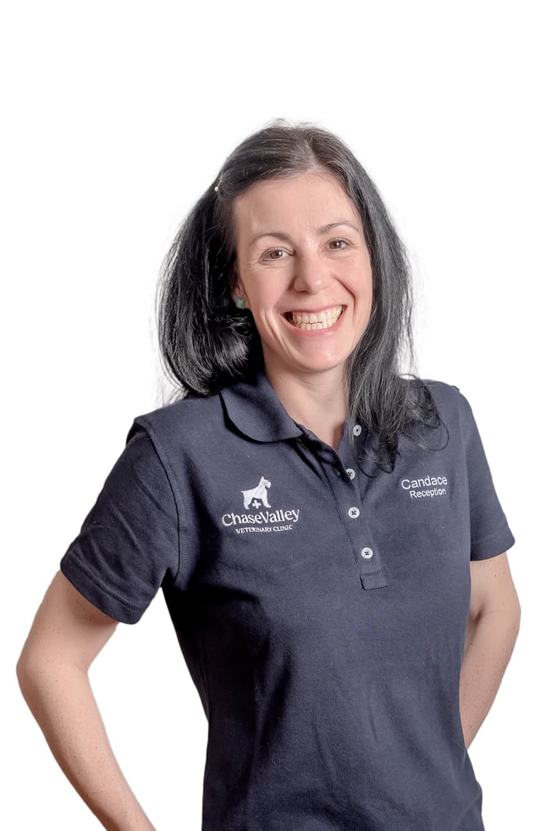 Our Team – Chase Valley Veterinary Clinic